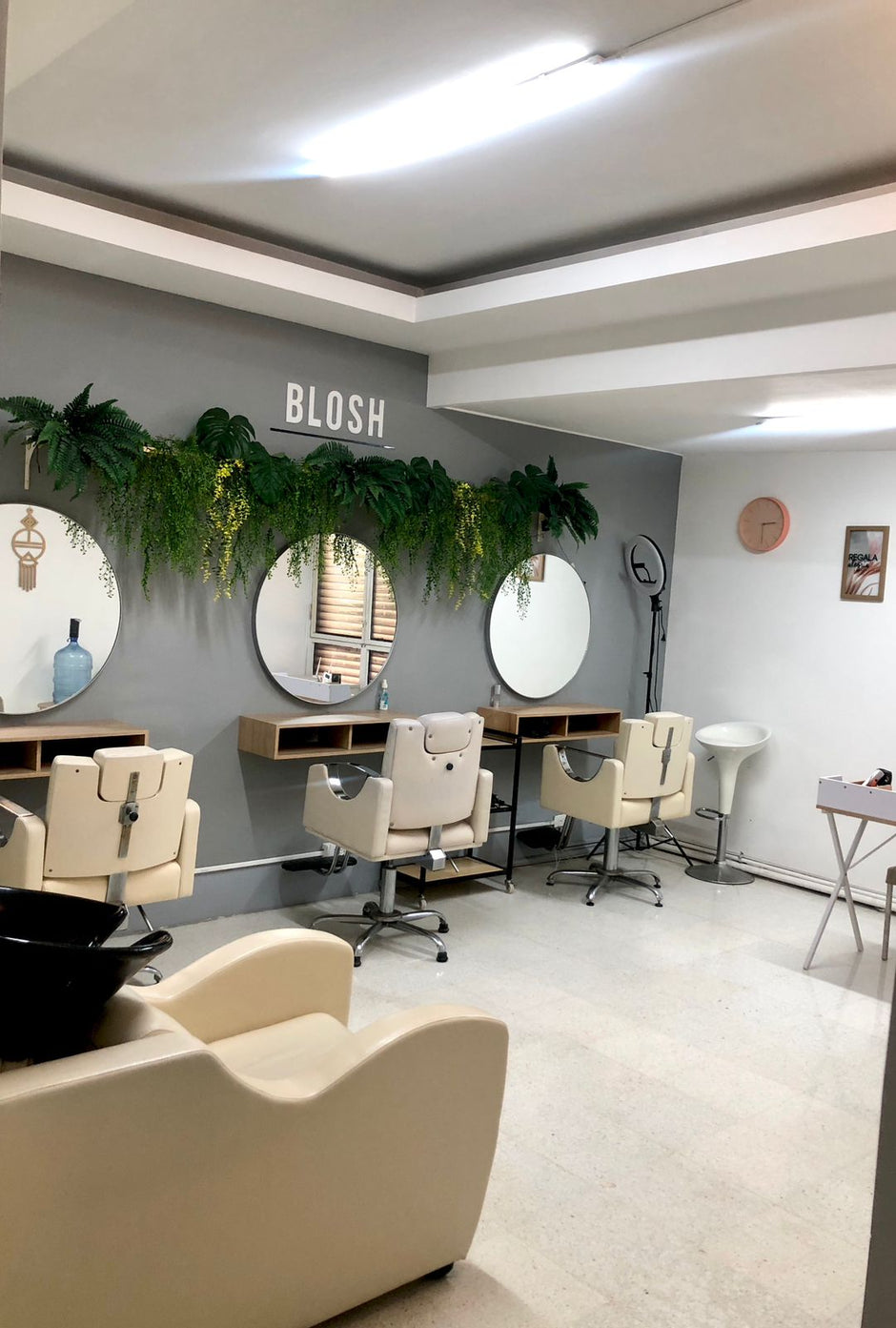 BLOSH